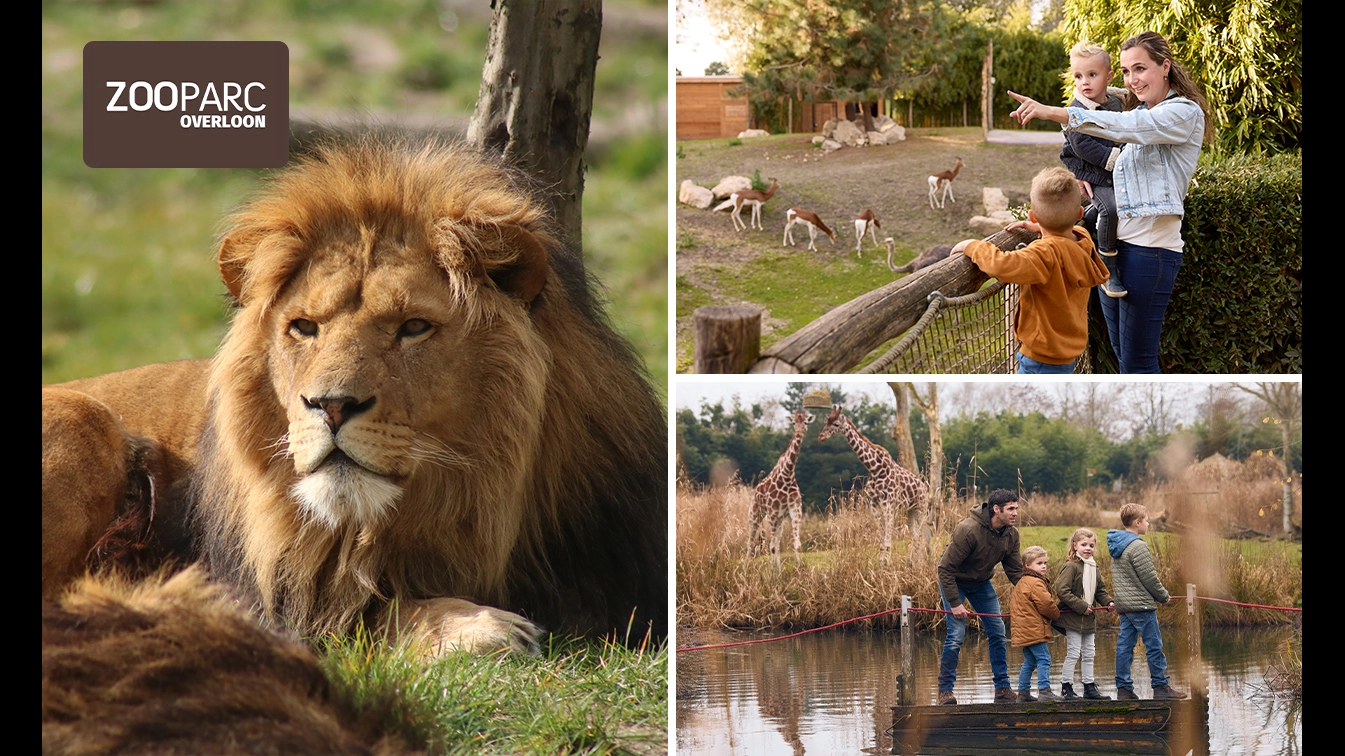 ZooParc Overloon, Eintritt ZooParc Overloon Spare 35% in ...